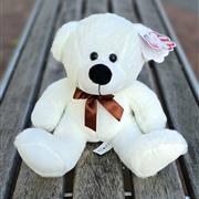 Premium White Bear